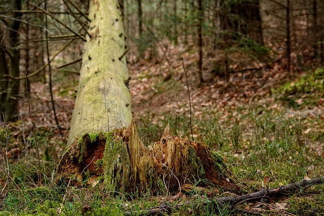 Sådan annullerer du rejsereservationer og får dine penge tilbage - Vi ...